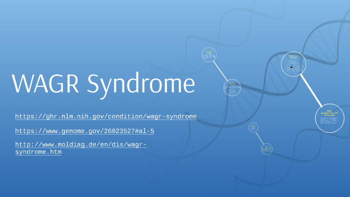 WAGR Syndrome by Alex Bernickus on Prezi