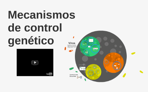 Mecanismos de control genético by Andres Salcedo on Prezi