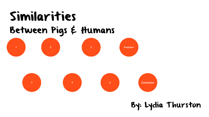 Similarities & Differences of Pigs & Humans by Lydia Thurston on Prezi