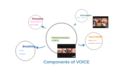 Components of Voice by on Prezi