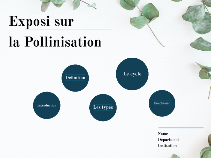 La pollinisation by ikram jebbour on Prezi