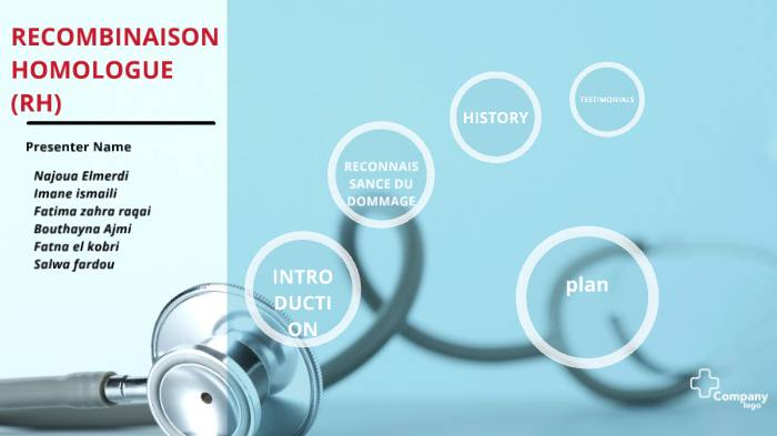 Recombinaison Homologue by oumayma elmerdi on Prezi