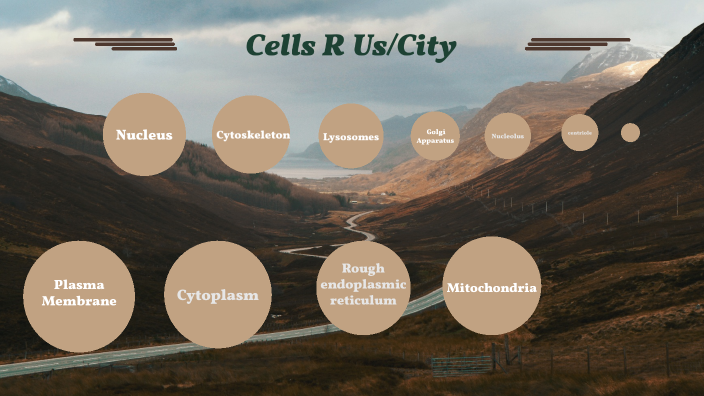 Cells R Us by amy mita on Prezi