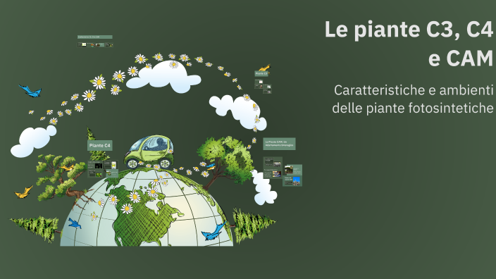 Le piante C3, C4 e CAM by Nicola Vettorazzo on Prezi