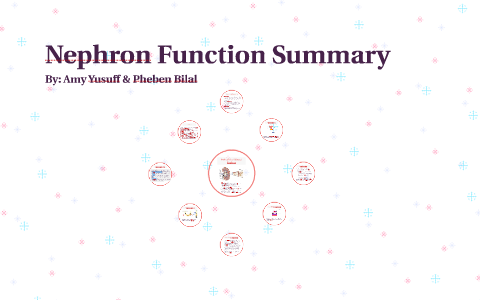 Nephron Funciton Summary by Amy Y. on Prezi