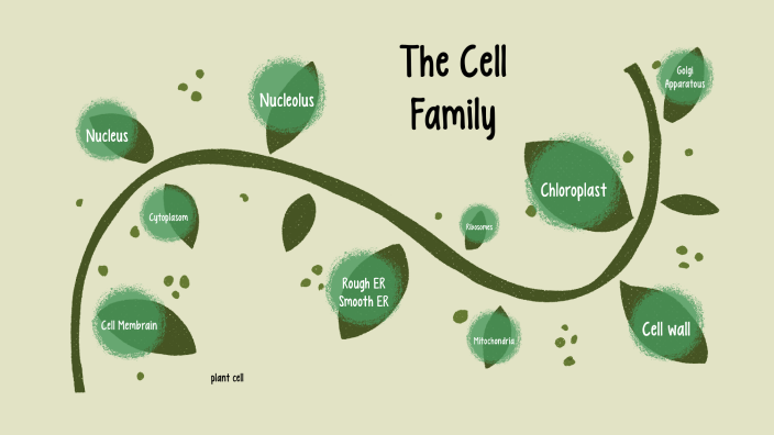 cells in a tree by Andrea Owens on Prezi