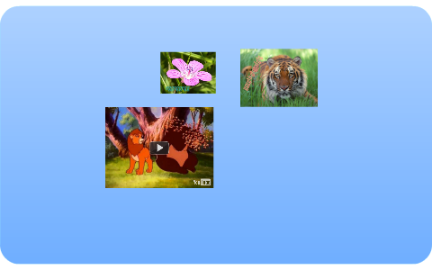 hjfgj by Katarzyna Berner on Prezi