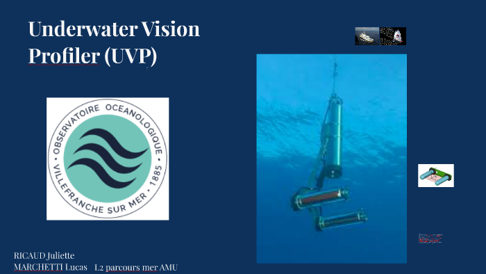 Underwater vision profiler by Camille Ricaud on Prezi
