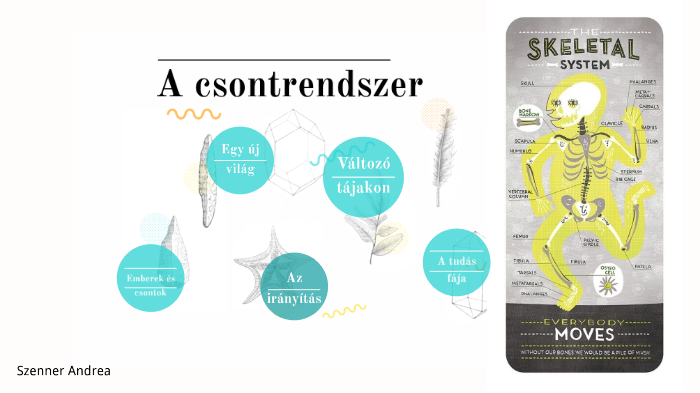 a csontrendszer by Andrea Szenner on Prezi