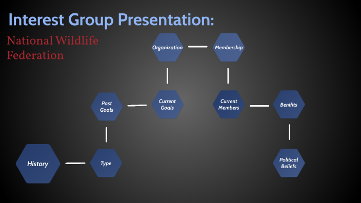 Chapter 9 Interest Groups assignment by ALIYAH GARDNER on Prezi
