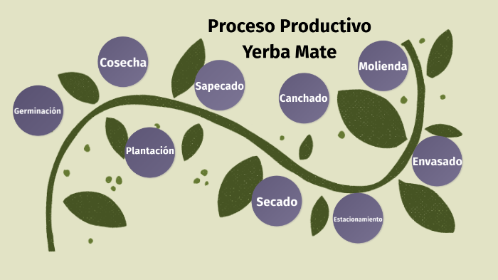Proceso Productivo Yerba Mate by Ivan Lardelli on Prezi