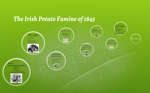 The Irish Potato Famine of 1845 by heather velthuis on Prezi
