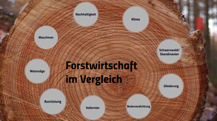 Forstwirtschaft by Jacob Rombach on Prezi