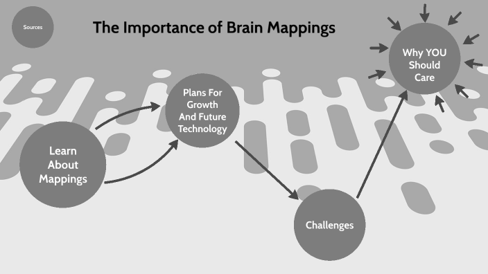 Fruit Fly Brain Mapping by TYLER PYKA on Prezi