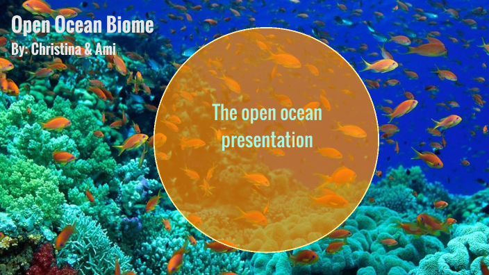 Open Ocean Biome by christina lindsey on Prezi