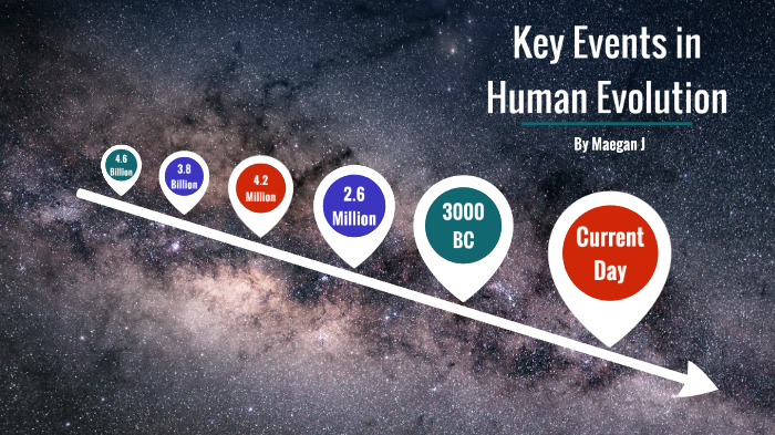 Key Events in Human Evolution by Maegan Johnstone on Prezi