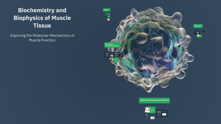 Biochemistry and Biophysics of Muscle Tissue by Agata Ciesielska on Prezi
