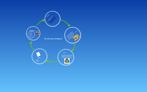 The Life Cycle of Popcorn by Renesh Sachdev on Prezi