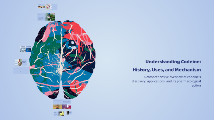 Understanding Codeine: History, Uses, and Mechanism by Génesis Tróchez ...