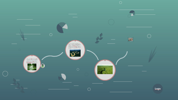 fdhfg by santiago Narvaez on Prezi