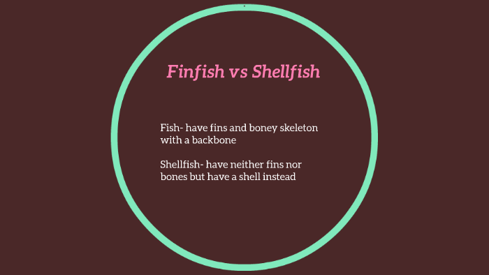 Fish vs Shellfish by Kara Emig on Prezi