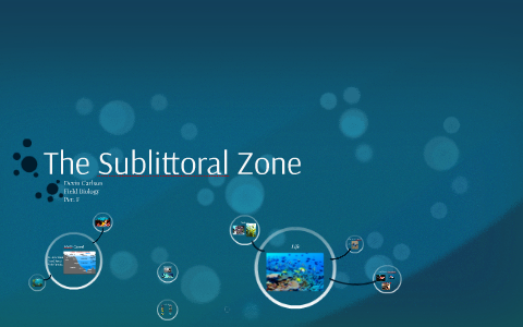 The Sublittoral Zone by Devin Carlson on Prezi