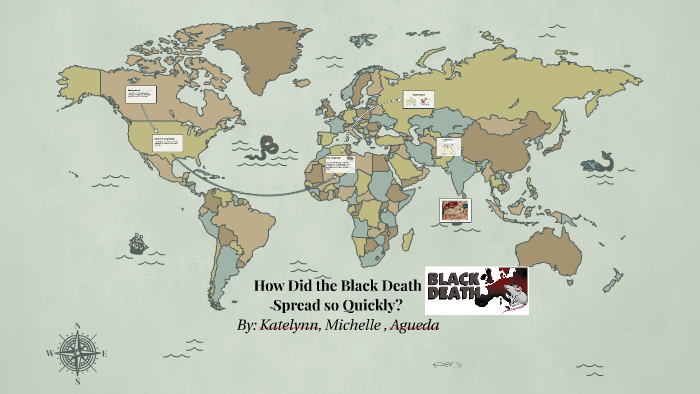 How Did the Black Death Spread by Katelynn I on Prezi