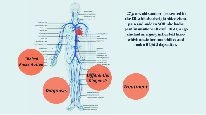 pbl 4 flow chart by sarah Al on Prezi