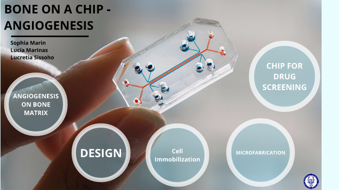BONE ON A CHIP by lucia mdr on Prezi