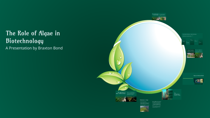 The Role of Algae in Biotechnology by Braxton Bond on Prezi