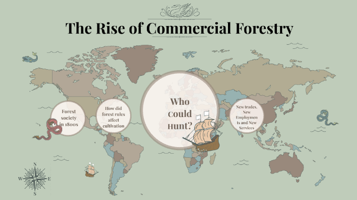 The Rise of Commercial forestry by Sachit sharma on Prezi