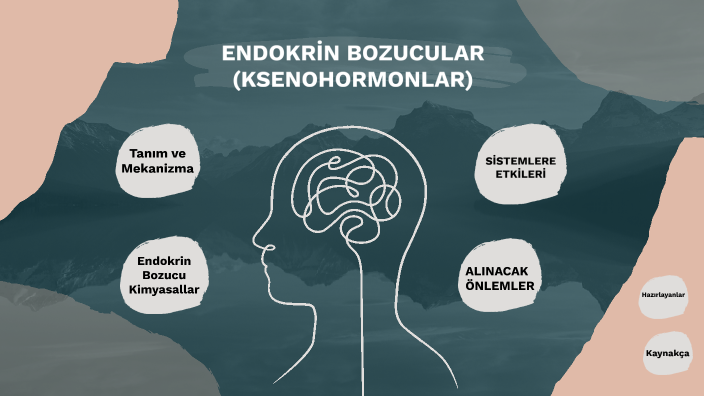 Endokrin bozucular by Erdi Ece on Prezi