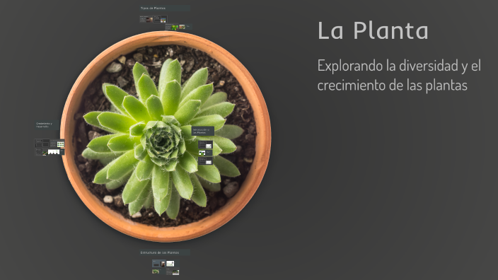 La Planta by Noelia Sandoval on Prezi