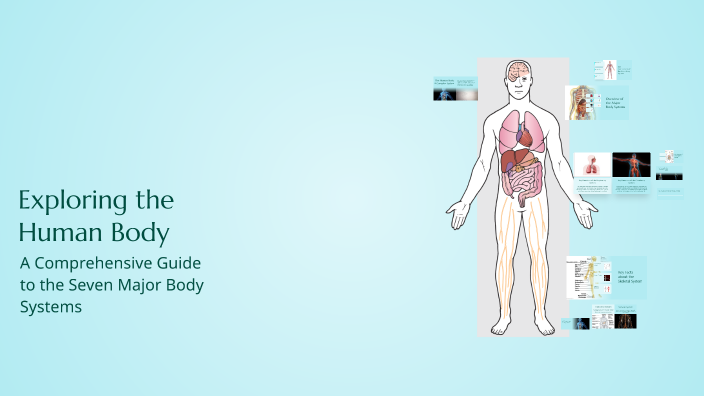 Exploring the Human Body by Jesinta Lenard on Prezi