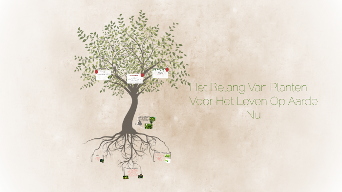 Het Belang Van Planten Voor Het Leven Op Aarde Nu by Julie Casier on Prezi Het Belang Van Planten Voor Het Leven Op Aarde Nu by Julie Casier on Prezi