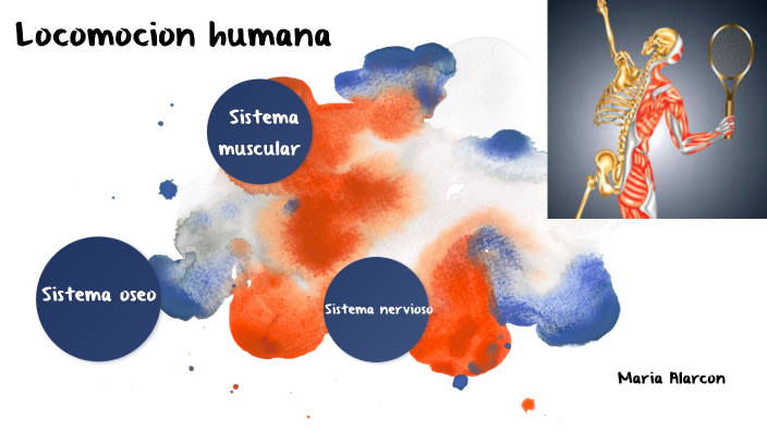 Locomocion humana by Maria Jose Alarcon Guerra on Prezi
