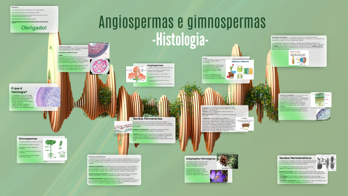 by Maria Rita Alves Padilha on Prezi