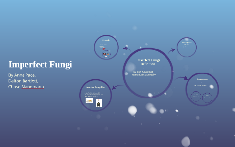 Imperfect Fungi by on Prezi