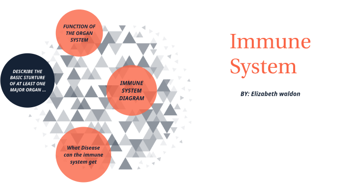 IMMUNE SYSTEM PROJECT by Elizabeth Waldon on Prezi