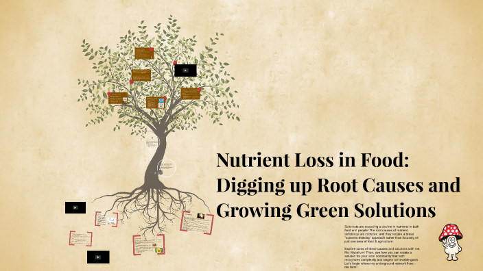 Nutrient Loss in Food: Causes and Solutions by Carly Chaapel on Prezi