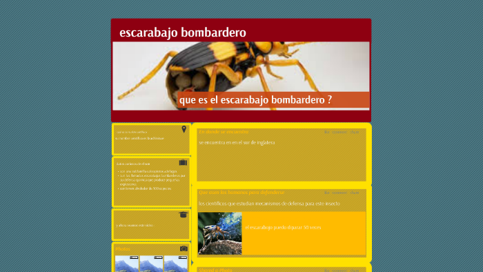 escarabajo bombardero by nicolas cubides on Prezi