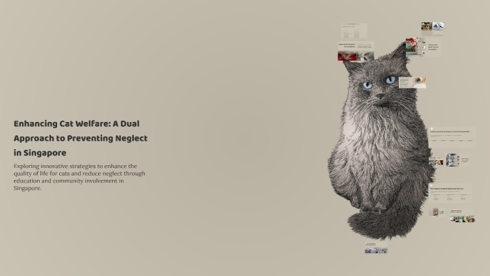 Enhancing Cat Welfare: A Dual Approach to Preventing Neglect in ...