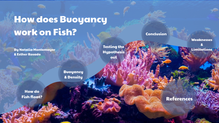 How does Buoyancy work on Fish by Natalia MM on Prezi