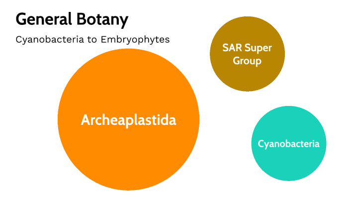 General Botany by Eve Bauman on Prezi