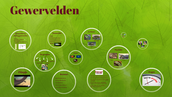 Gewervelden by Sohaila Hussin on Prezi