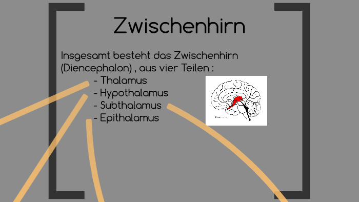 Gehirn by Aaron Endres on Prezi