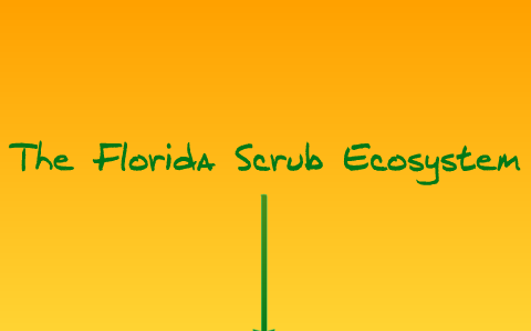 The Florida Scrub Ecosystem by Collin Gustafson on Prezi