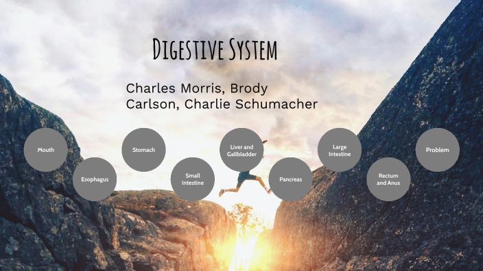 Digestive System by Brody Carlson on Prezi