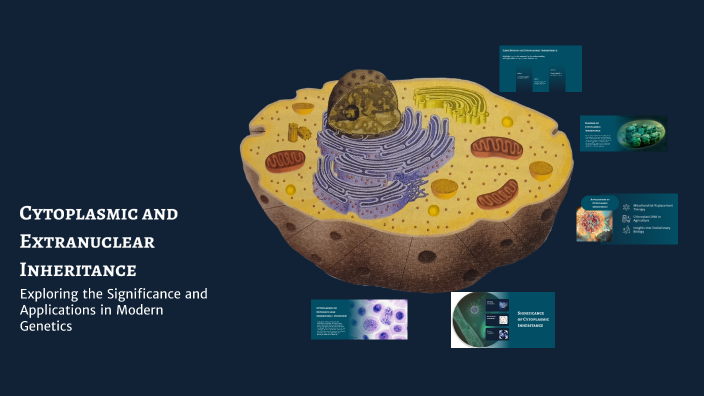 Cytoplasmic and Extranuclear Inheritance by Auritra Sarkar on Prezi