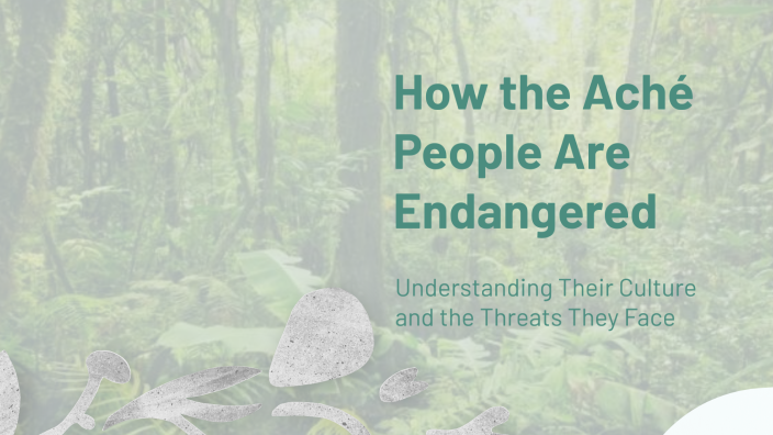 How the Aché People Are Endangered by Clovis Poirier on Prezi